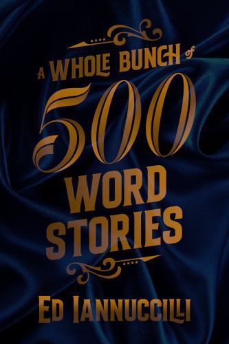 Whole Bunch of 500-Word Stories by Ed Iannuccilli (2022, Trade ...