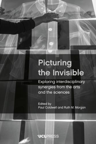 Picturing the Invisible : Exploring Interdisciplinary Synergies from ...