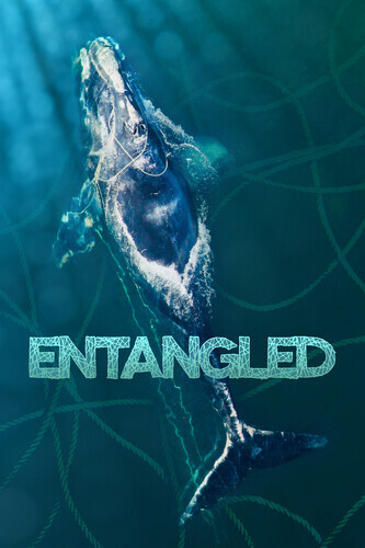 Entangled (DVD) for sale online | eBay