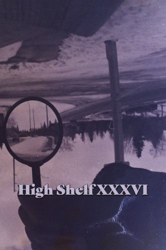 High Shelf XXXVI : November 2021 by David Seung (2021, Trade Paperback ...