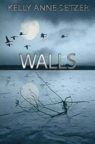 Walls by Kelly Setzer (2015, Trade Paperback) for sale online | eBay
