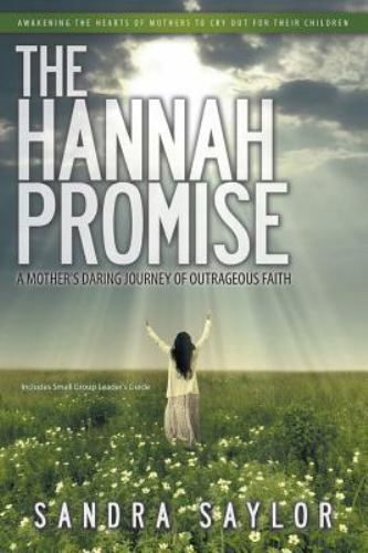 Hannah Promise : A Mother's Daring Journey of Outrageous Faith by ...