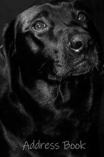 Address Book : Labrador Retriever Dog Address Book for Women, Men and ...