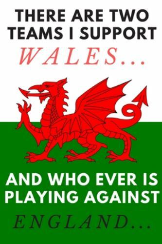 There Are Two Teams I Support Wales... and Who Ever Is Playing Against ...