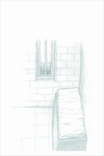 Journal of Prisoners on Prisons Ser.: Journal of Prisoners on Prisons ...