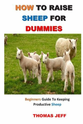 How to Raise Sheep for Dummies : Beginners Guide to Keeping Productive ...