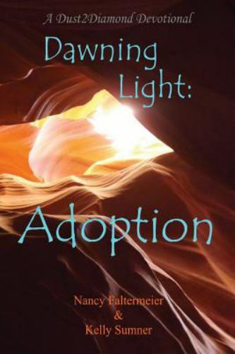 Dawning Light : Adoption by Nancy Faltermeier and Kelly Sumner (2016 ...