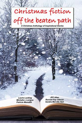 Christmas Fiction off the Beaten Path by Patricia Meredith, Sandra ...