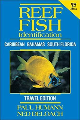 Reef Fish Identification - Travel Edition : Caribbean Bahamas South ...
