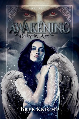 Awakening : Valkyrie: Alex Book 1 by Bree Knight (2022, Trade Paperback ...