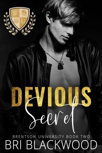Devious Secret : A Dark Enemies to Lovers Billionaire College Romance ...