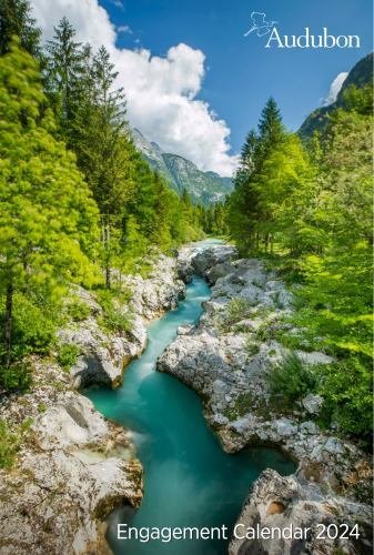 Audubon Engagement Calendar 2024 : A Tribute to the Wilderness and Its ...