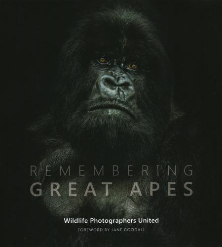 Remembering Great Apes by Wildlife Photographers United and Margot ...