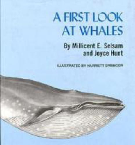 First Look at Whales by Joyce Hunt and Millicent E. Selsam (1980 ...