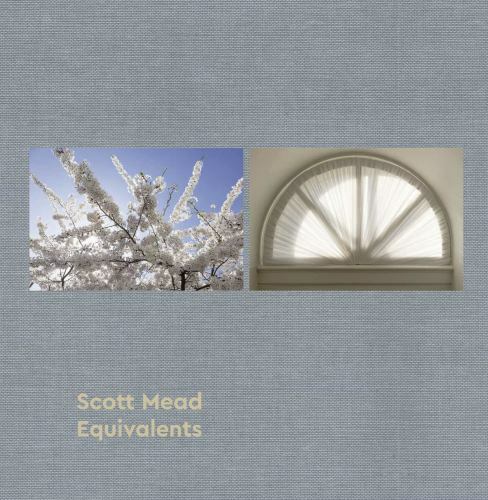 Equivalents : Scott Mead by Brad Leithauser (2022, Hardcover) for sale ...