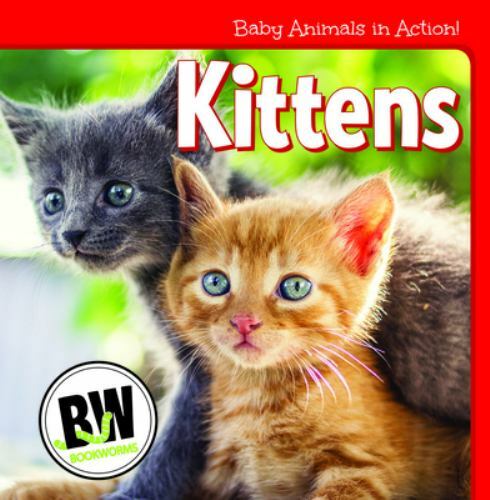 Kittens by Nicole Horning (2020, Trade Paperback) for sale online | eBay