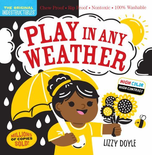 Indestructibles: Play in Any Weather (High Color High Contrast) : Chew ...