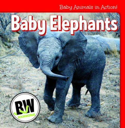 Baby Elephants by Nicole Horning (2020, Trade Paperback) for sale ...
