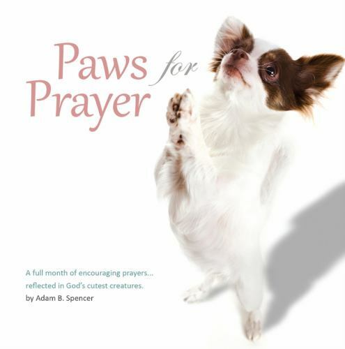 Paws for Prayer : A Full Month of Encouraging Prayers...reflected in ...