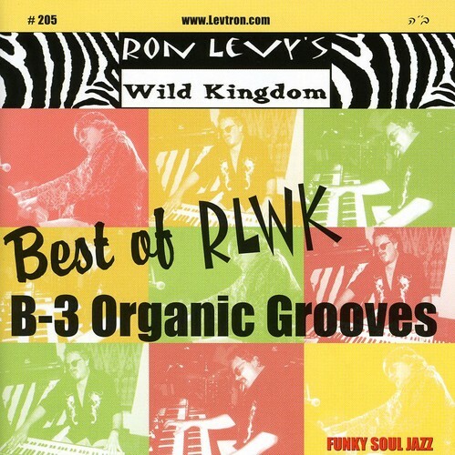 Best of Rlwk-B-3 Organic Grooves by Ron Levy (CD, 2004) for sale online ...