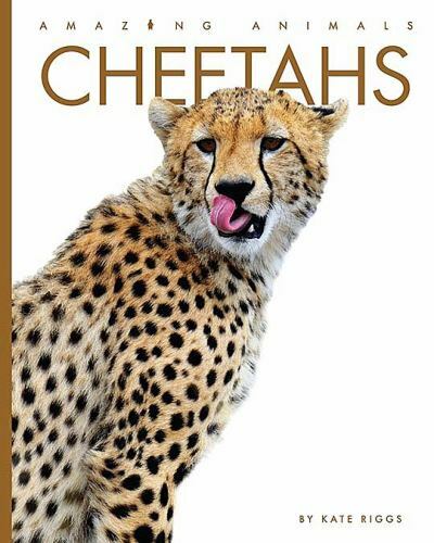 Cheetahs by Kate Riggs (2021, Hardcover) for sale online | eBay