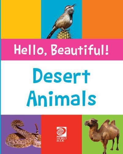 Desert Animals by Shawn Brennan and Grace Guibert (2018, Trade ...