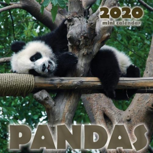 Pandas 2020 Mini Wall Calendar by Wall Craft Calendars (2019, Trade Paperback) for sale online ...