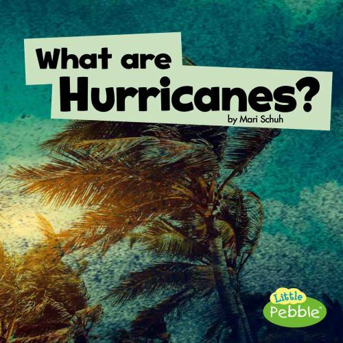 What Are Hurricanes? by Mari Schuh (2019, Trade Paperback) for sale ...