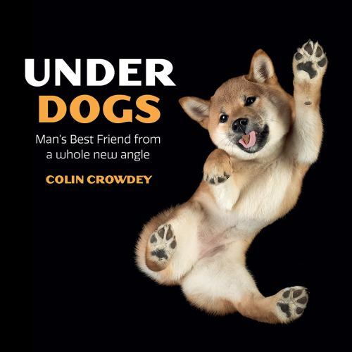 Under Dogs by Colin Crowdey (2022, Hardcover) for sale online | eBay