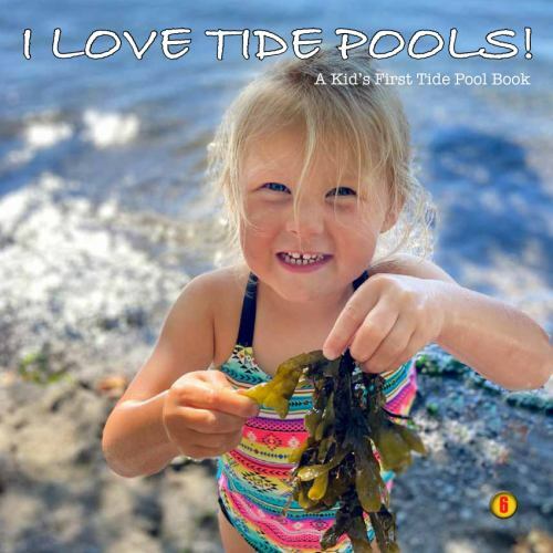 I Love Tide Pools : A Kid's First Tide Pool Book by David Fetherson ...