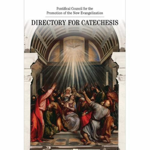 Directory for Catechesis by Usccb (2020, Trade Paperback) for sale ...