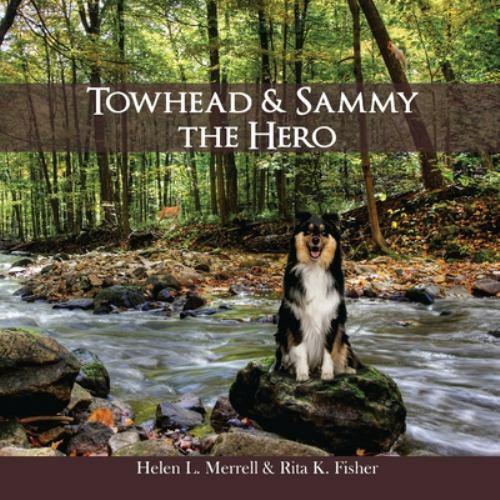 Towhead and Sammy the Hero by Rita Fisher and Helen L. Merrell (2021 ...
