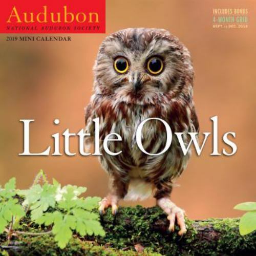 Audubon Little Owls Mini Wall Calendar 2019 by Workman Publishing (2018 ...