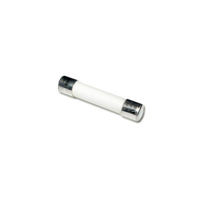 Fuses & Circuit Protection - 10A 250V Fuse