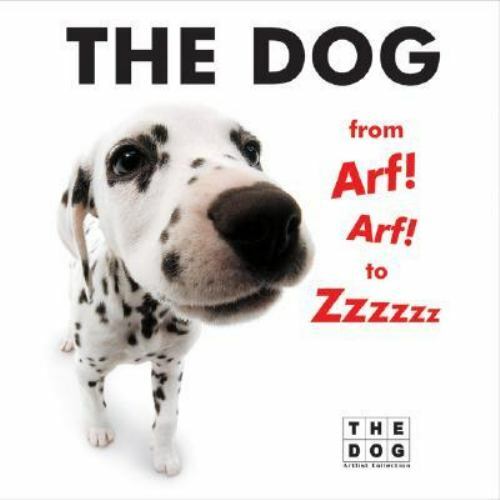 Dog from Arf! Arf! to Zzzzzz by Artlist Collection Staff (2007, Picture ...