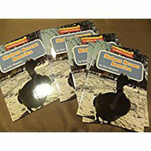 Houghton Mifflin Vocabulary Readers : Theme 3. 2 Level 3 Statues Across ...
