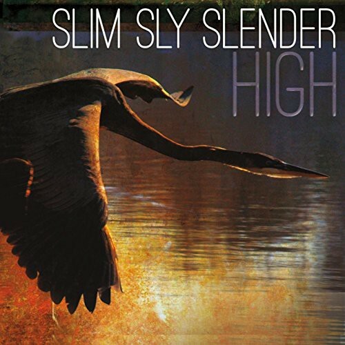 High by Slim Sly Slender (CD, 2014) for sale online | eBay