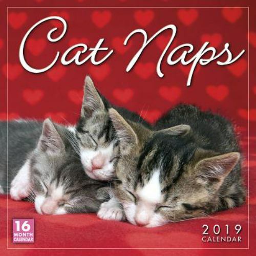 2019 Cat Naps 16-Month Wall Calendar : By Sellers Publishing by Inc ...