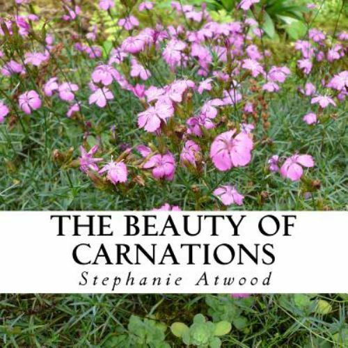 Beauty of Carnations : A Text-Free Book for Seniors and Alzheimer's ...