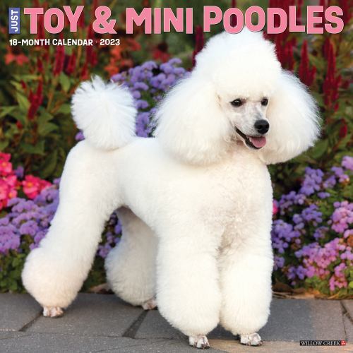 Just Toy and Miniature Poodles 2023 Wall Calendar by Willow Creek Press ...
