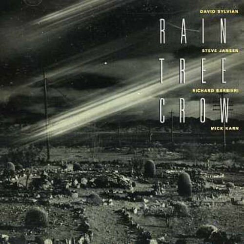 Raintree Crow by Rain Tree Crow (CD, 2007) for sale online | eBay