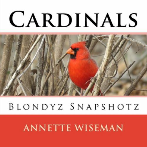 Cardinals : Blondyz Snapshotz by Annette Wiseman (2017, Trade Paperback ...