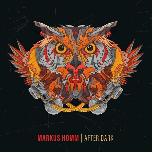 After Dark by Homm, Markus (Record, 2022) for sale online | eBay