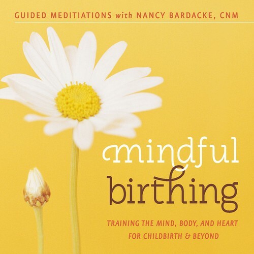Mindful Birthing: Training the Mind by Nancy Bardacke (CD, 2013) for ...