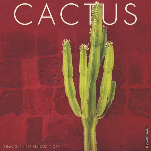 Cactus 2019 Wall Calendar by Inc. Staff Willow Creek Press (2018 ...