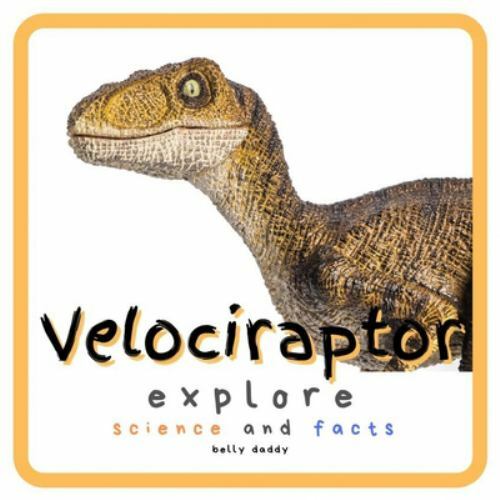 Velociraptor Explore Science and Facts : Everything Worth Knowing about ...