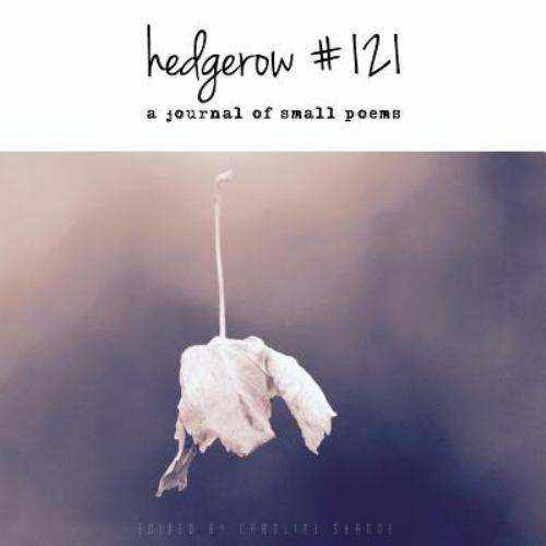 Hedgerow #121 : A Journal of Small Poems by Caroline Skanne (2017 ...