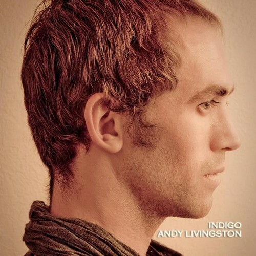 Indigo by Andy Livingston (CD, 2009) for sale online | eBay