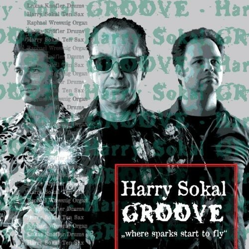 Where Sparks Start to Fly by Sokal Groove, Harry (CD, 2013) for sale ...