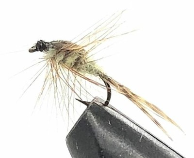 Dry - Fly Fishing Flies Quill
